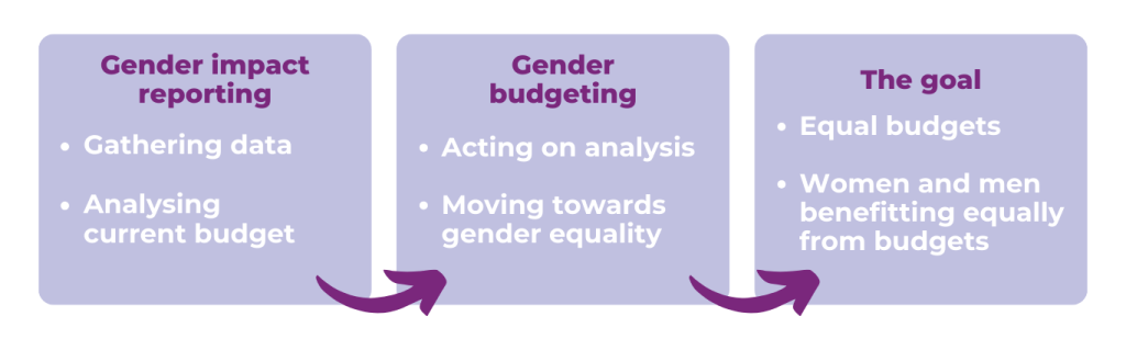 What is Gender Budgeting? - Women in Sport